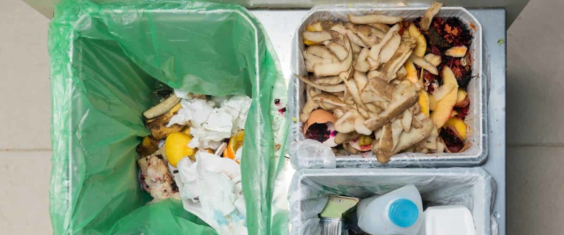 Environmental Groups in Bronx, NY: Addressing Waste Management and ...